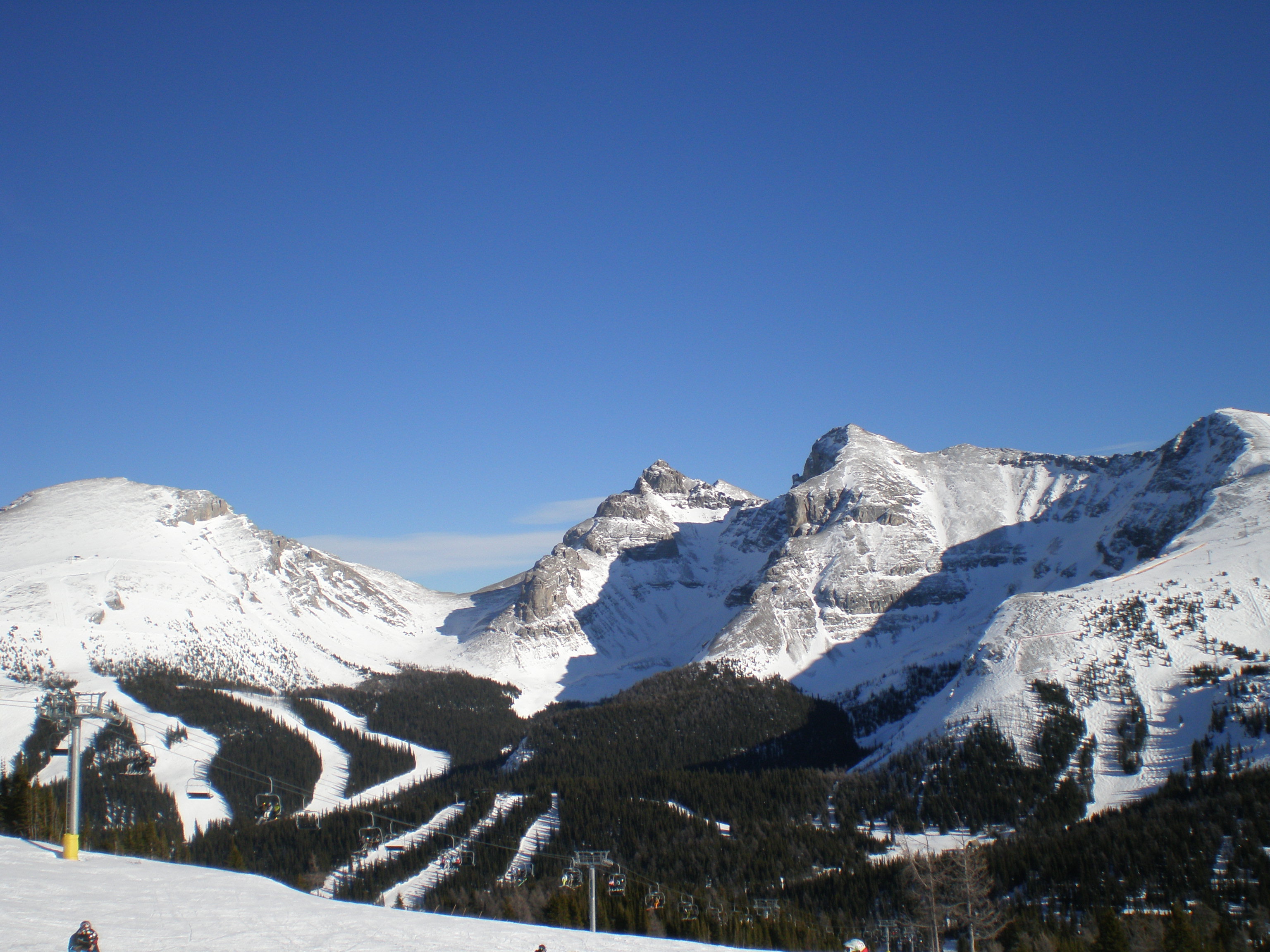 Sunshine-Mountain-View – The Money Runner